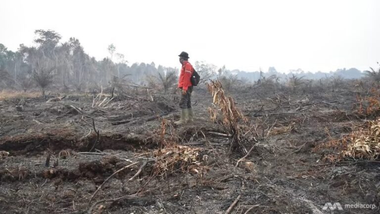 El Nino: Indonesia siap sedia hadapi kebakaran hutan