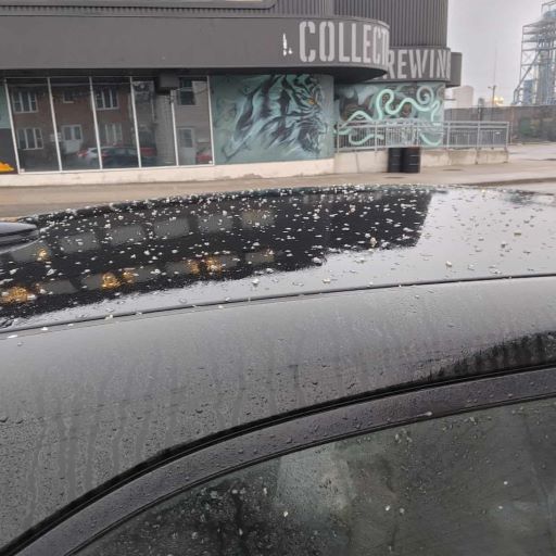 Kawasan perumahan di Hamilton dicemari kulit kacang soya - Utusan Malaysia