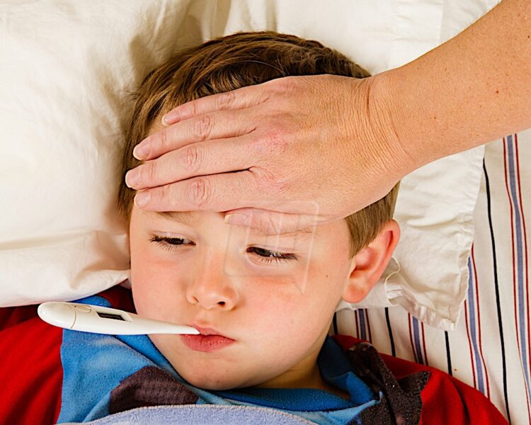 Pelega demam panas - Utusan Malaysia