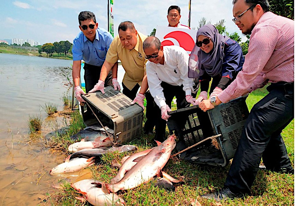 Pertandingan memancing DBKL tawar hadiah menarik - Utusan Malaysia