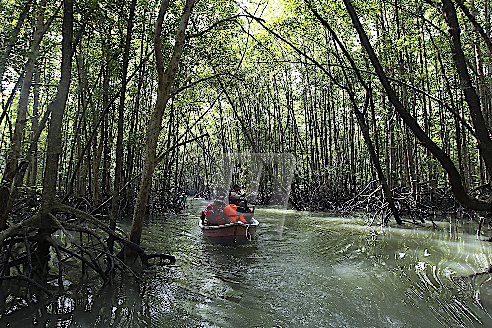 UTM bantu ekopelancongan Pulau Tanjung Surat - Utusan Malaysia