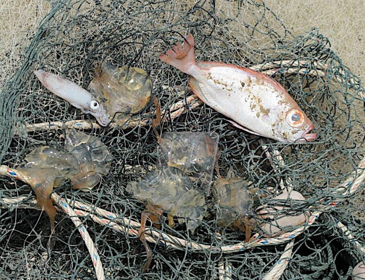 Fenomena obor-obor - Utusan Malaysia