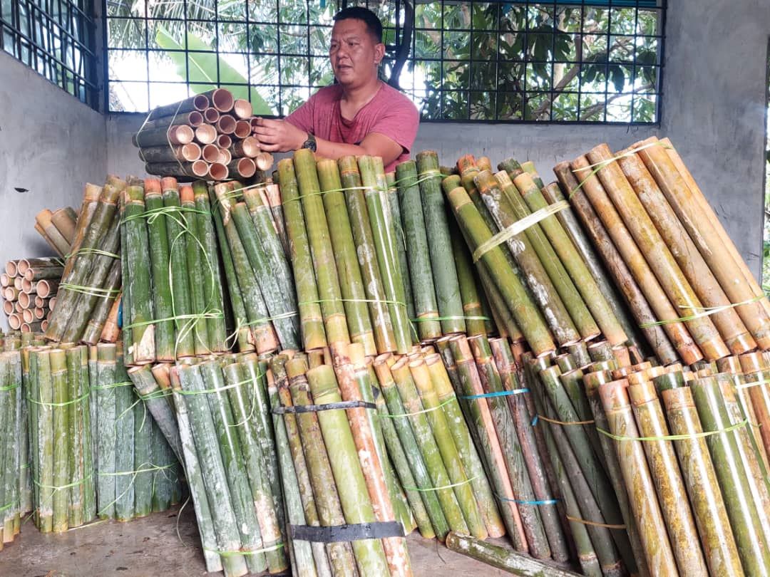 Permintaan tinggi, buluh lemang semakin sukar ditemukan
