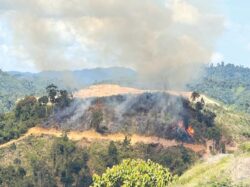 Pembakaran terbuka bimbangkan Orang Asli