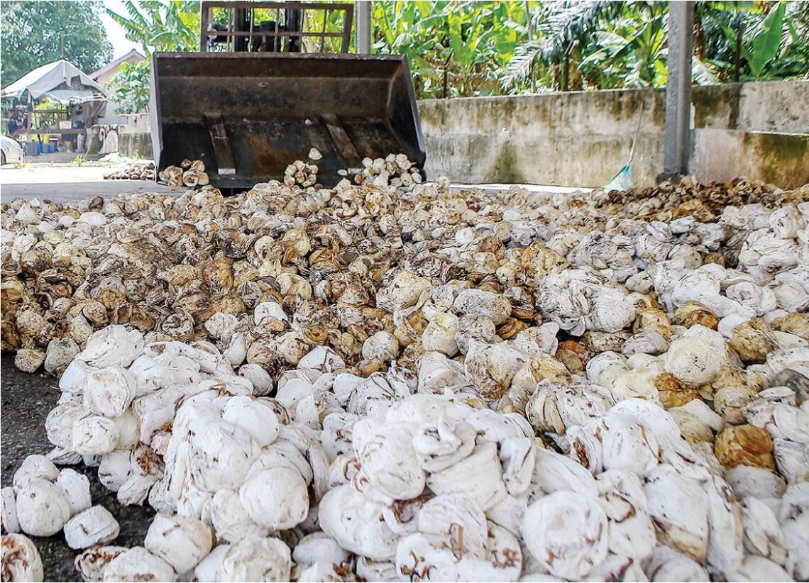 Pasaran getah diunjur positif - Penganalisis