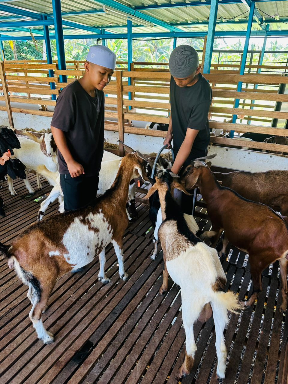 Ilmu pertanian penternakan di ajar di tahfiz