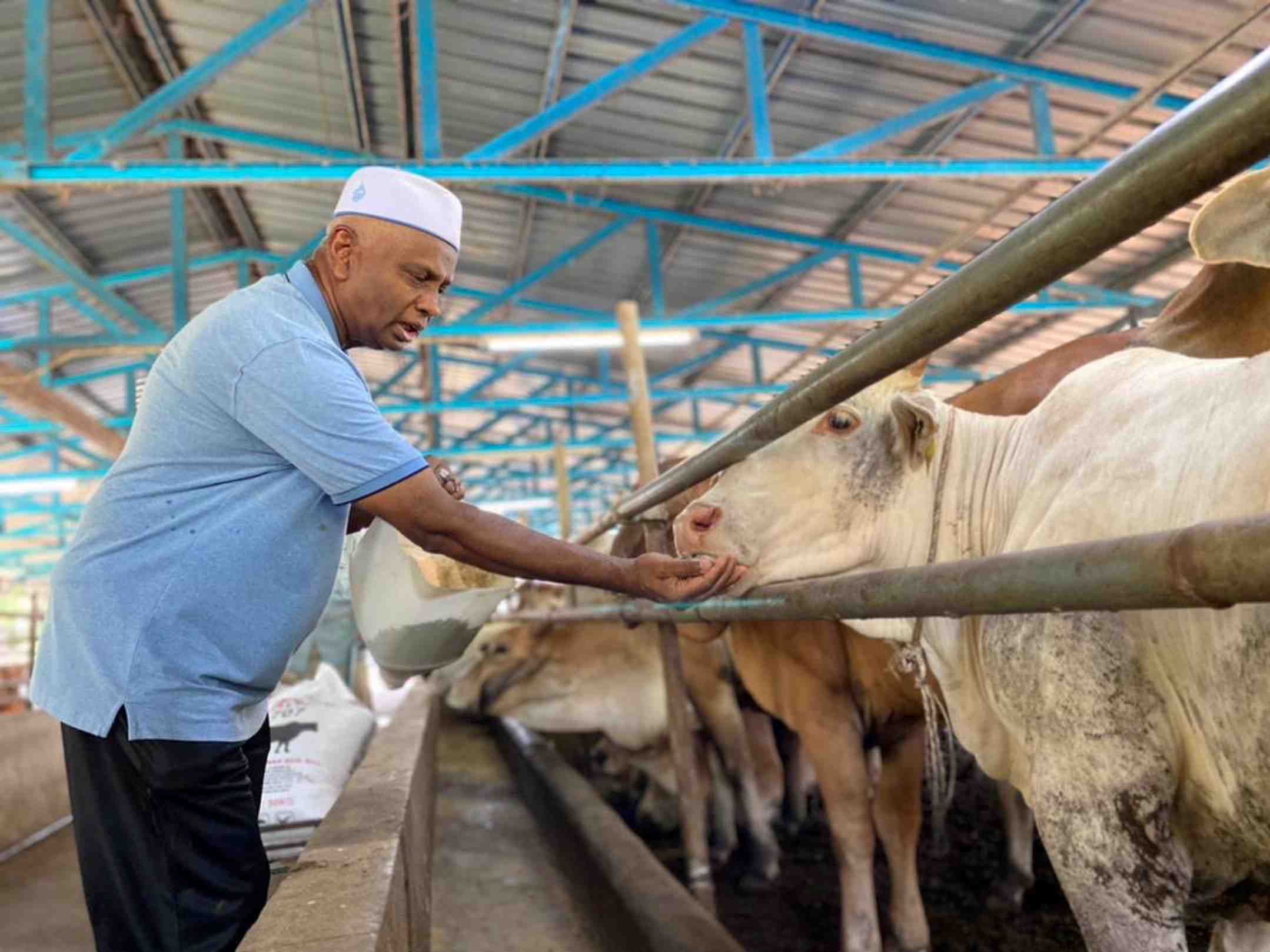 Jualan lembu korban merosot