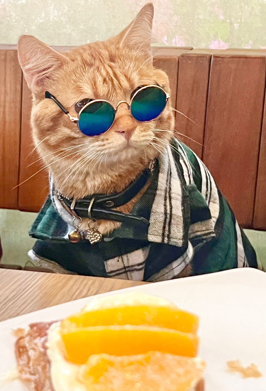 Nakal King Oyen pengubat stres