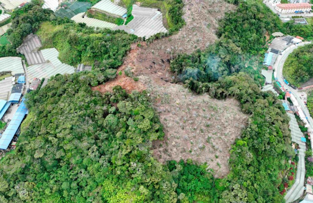 NGO pertikai kelulusan projek Cameron Highlands