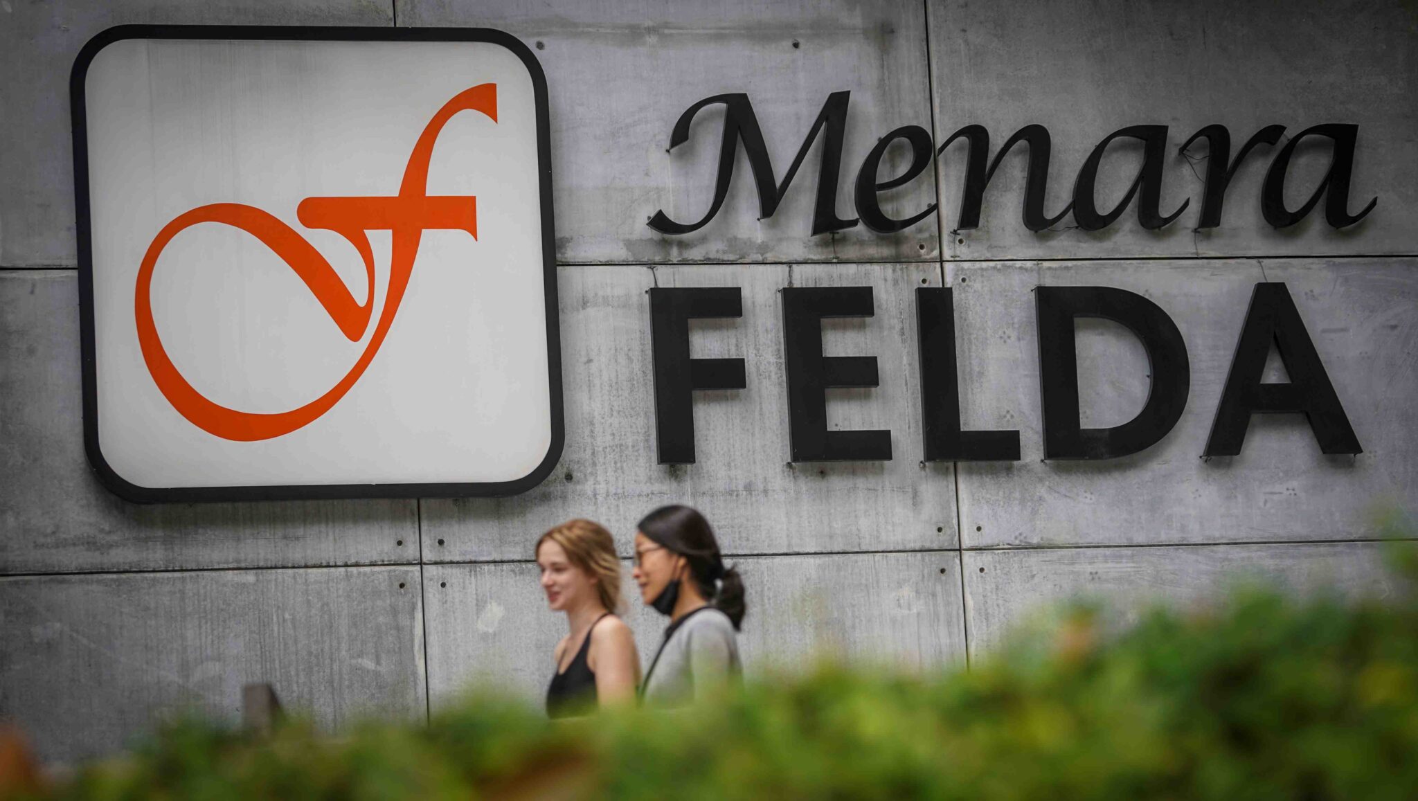 Felda perlu teroka tanaman kontan, ternakan