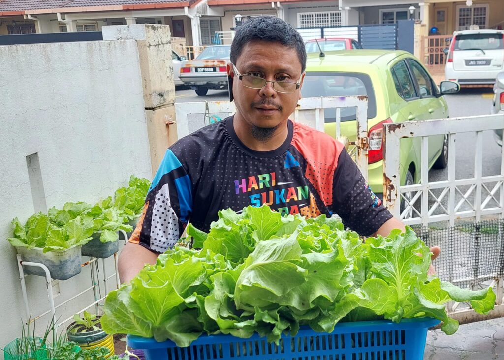 Taman mini sayur segar guna bahan terpakai
