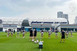 Rusa, harimau sama ‘tempang’