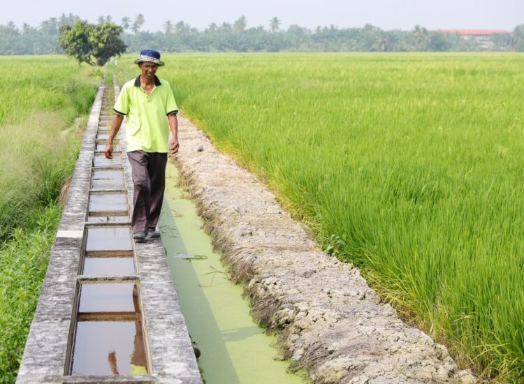 Beras Malaysia sejuta tan metrik, cukup untuk lima bulan