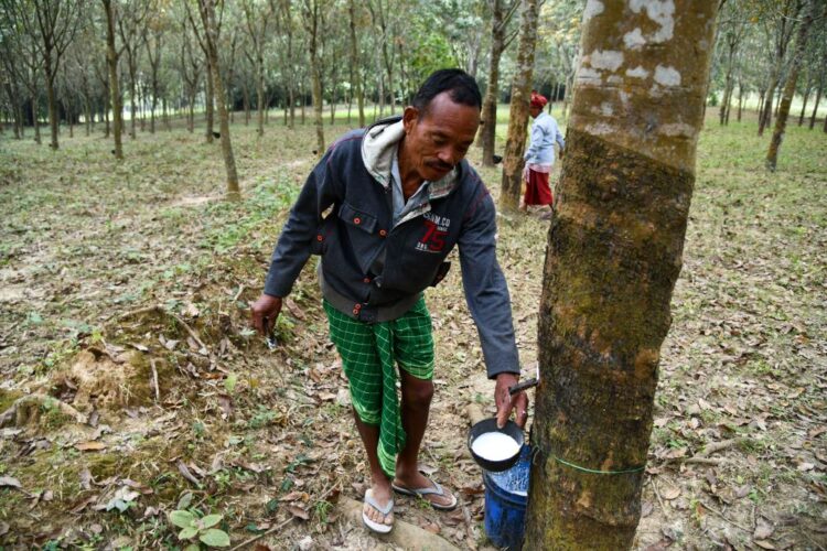 RISDA sedia bantuan usahawan dan agromakanan galak penanaman getah