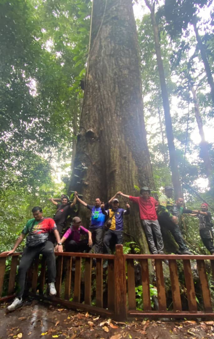 Promosi pelancongan Hutan Simpan Pasir Raja ditingkatkan