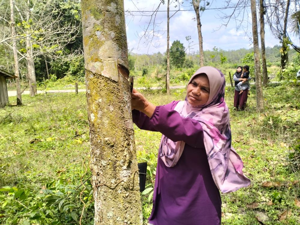 Wujudkan IKS 'selamatkan' industri getah negara