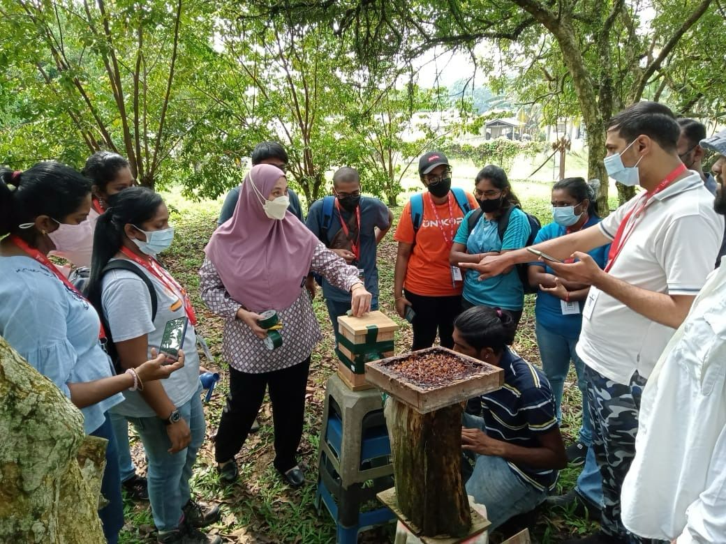 Madu kelulut tingkat tenaga batin - Utusan Malaysia