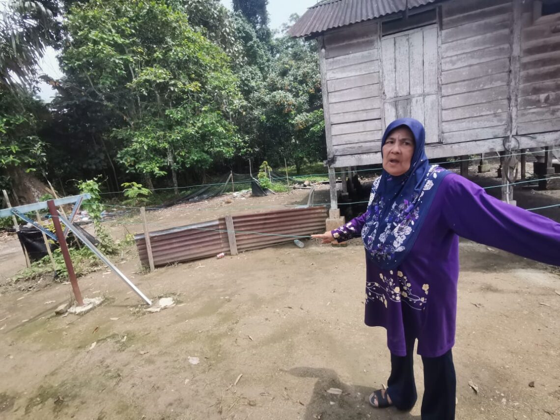 ‘Rebah tertiarap nampak pak belang’ - Utusan Malaysia