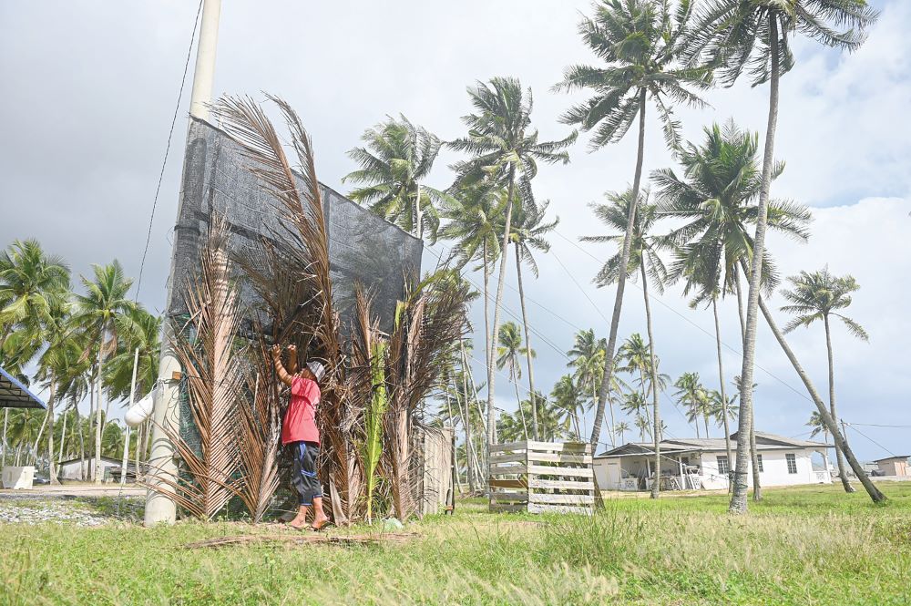 Penduduk guna pelepah kelapa hadang rumah daripada angin