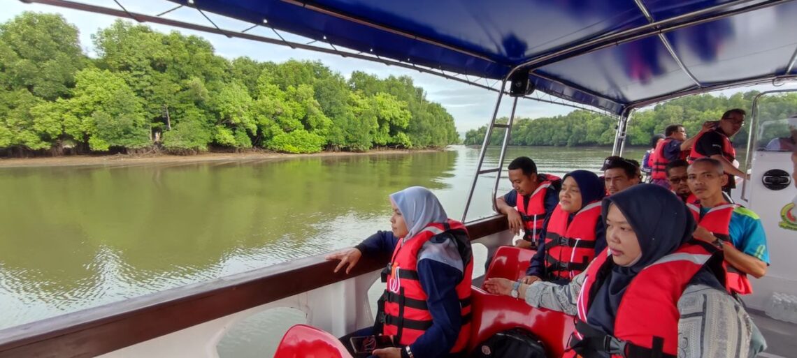 Aktiviti eksplorasi Sungai Merbok kembali beroperasi - Utusan Malaysia