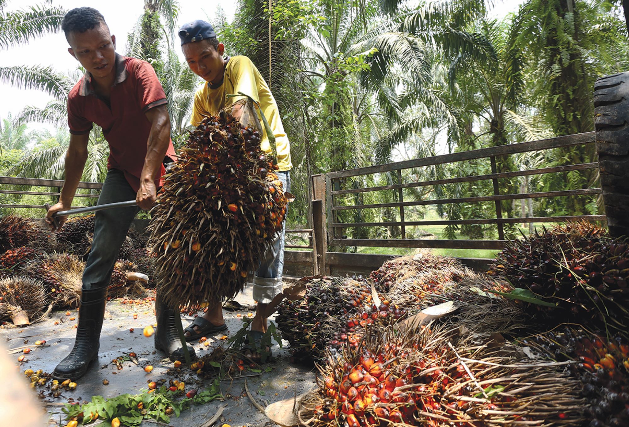 Dua nakhoda dalam tanah rancangan Felda?