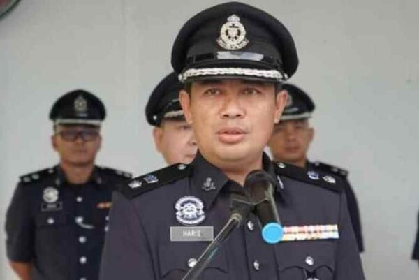 Buaya serang warga emas ketika ambil air