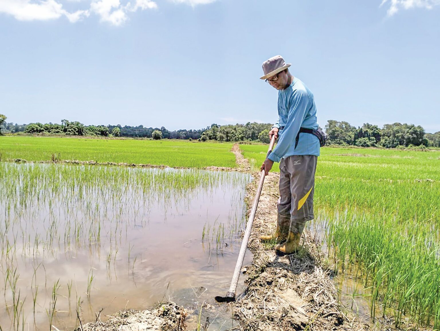 Sawah jerlus: KADA hilang 4,200 tan metrik hasil padi