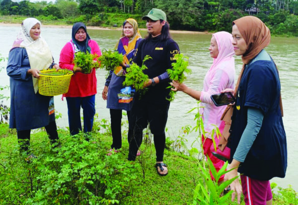 Pelancong petik pucuk paku, masak gulai asam rong ikan kenerak