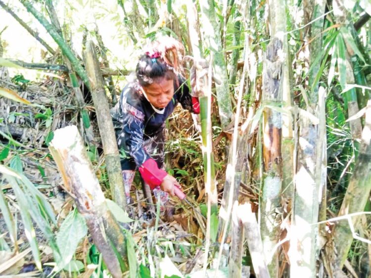 'Siapa rajin pasti raih rezeki'