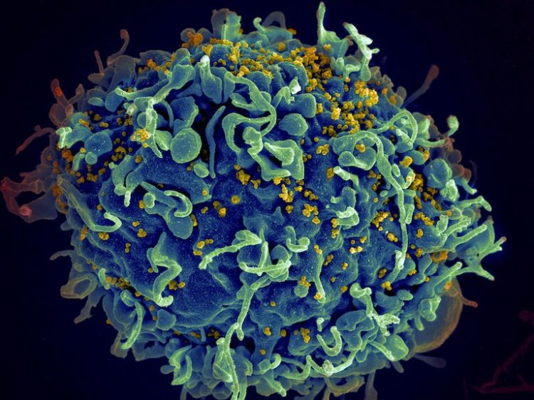Seks songsang, trend terbaru peningkatan HIV - Utusan Malaysia