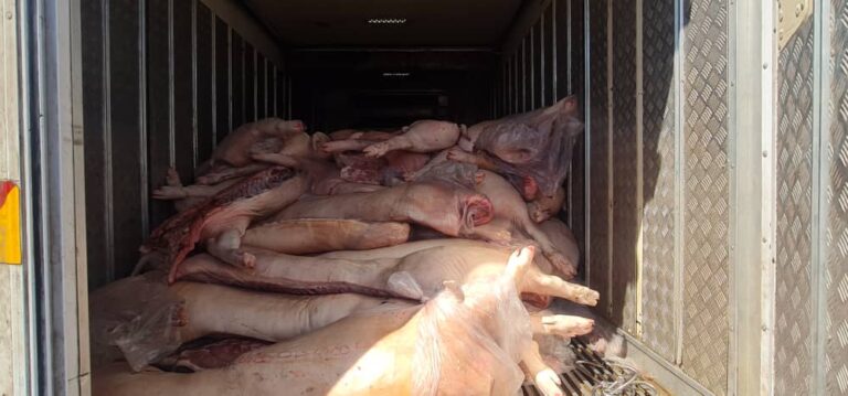 11,396 kilogram daging khinzir sejuk beku dirampas