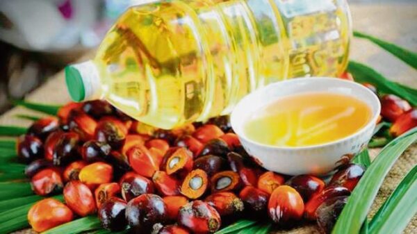 Turkiye import AS$1.01 bilion minyak sawit Malaysia tahun lalu