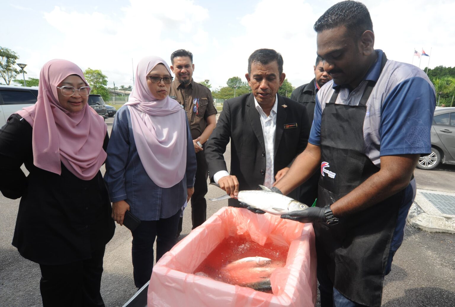 Tanam rumput laut di Pulau Tinggi, Sibu elak kepupusan dugong - Utusan ...