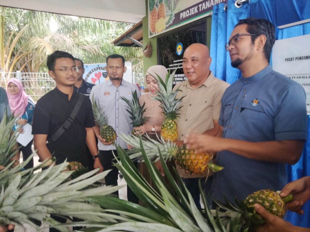 Lapan peserta tanam sejuta pokok nanas MD2 - Utusan Malaysia