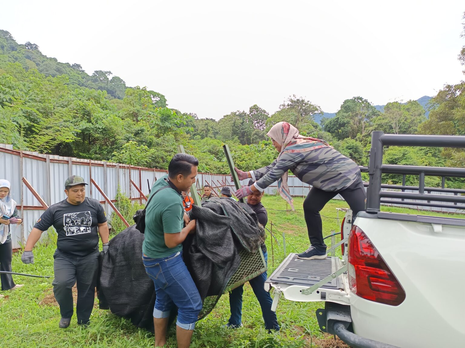 Jabatan Perhilitan NS tangkap 17 harimau kumbang sejak tahun lalu ...