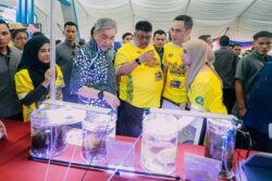 RM1.5 juta anjur Mini KUD @ Festival D’Bendang berskala besar