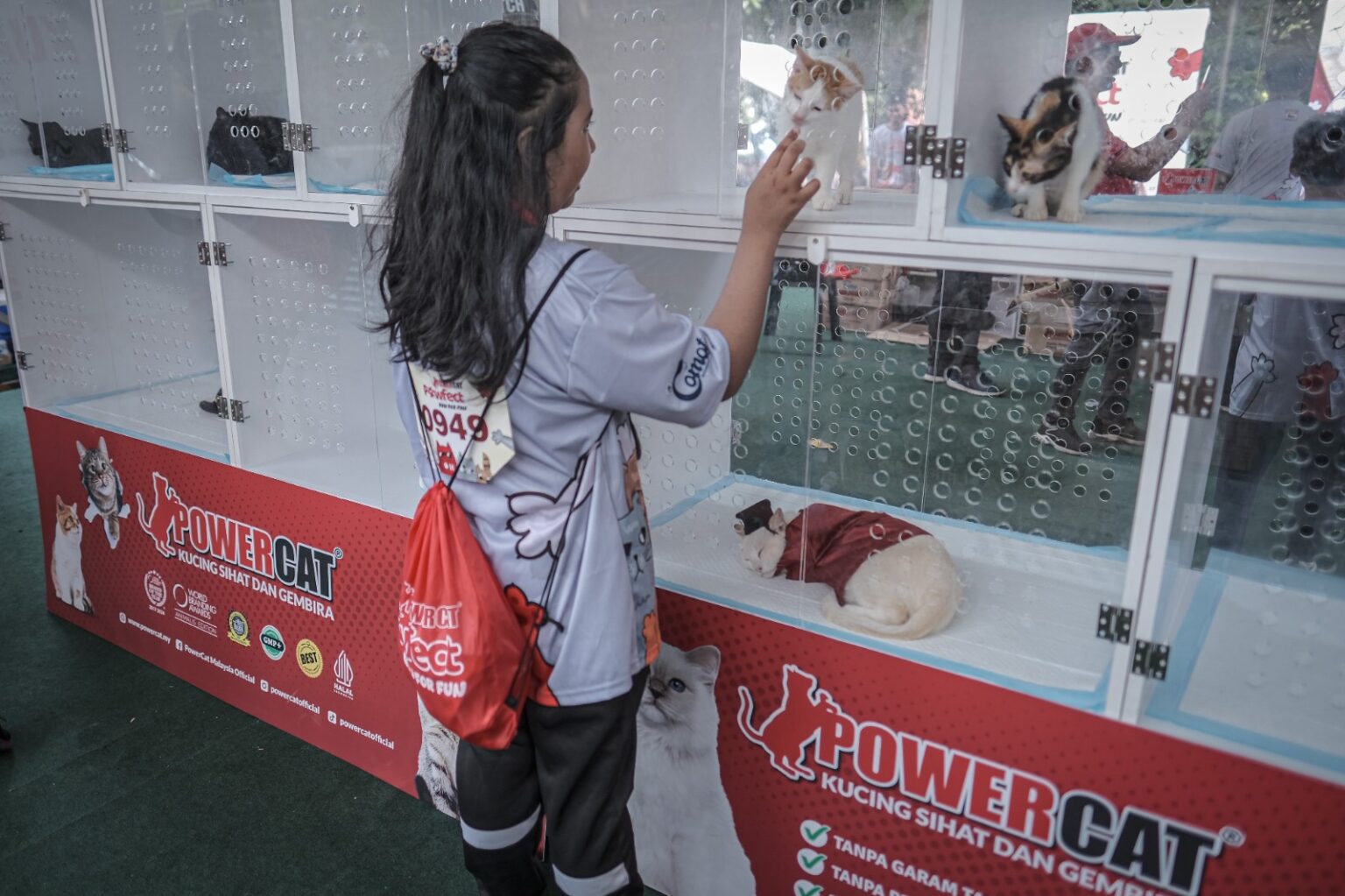 Powercat Pawfect Run For Fun satukan pencinta kucing