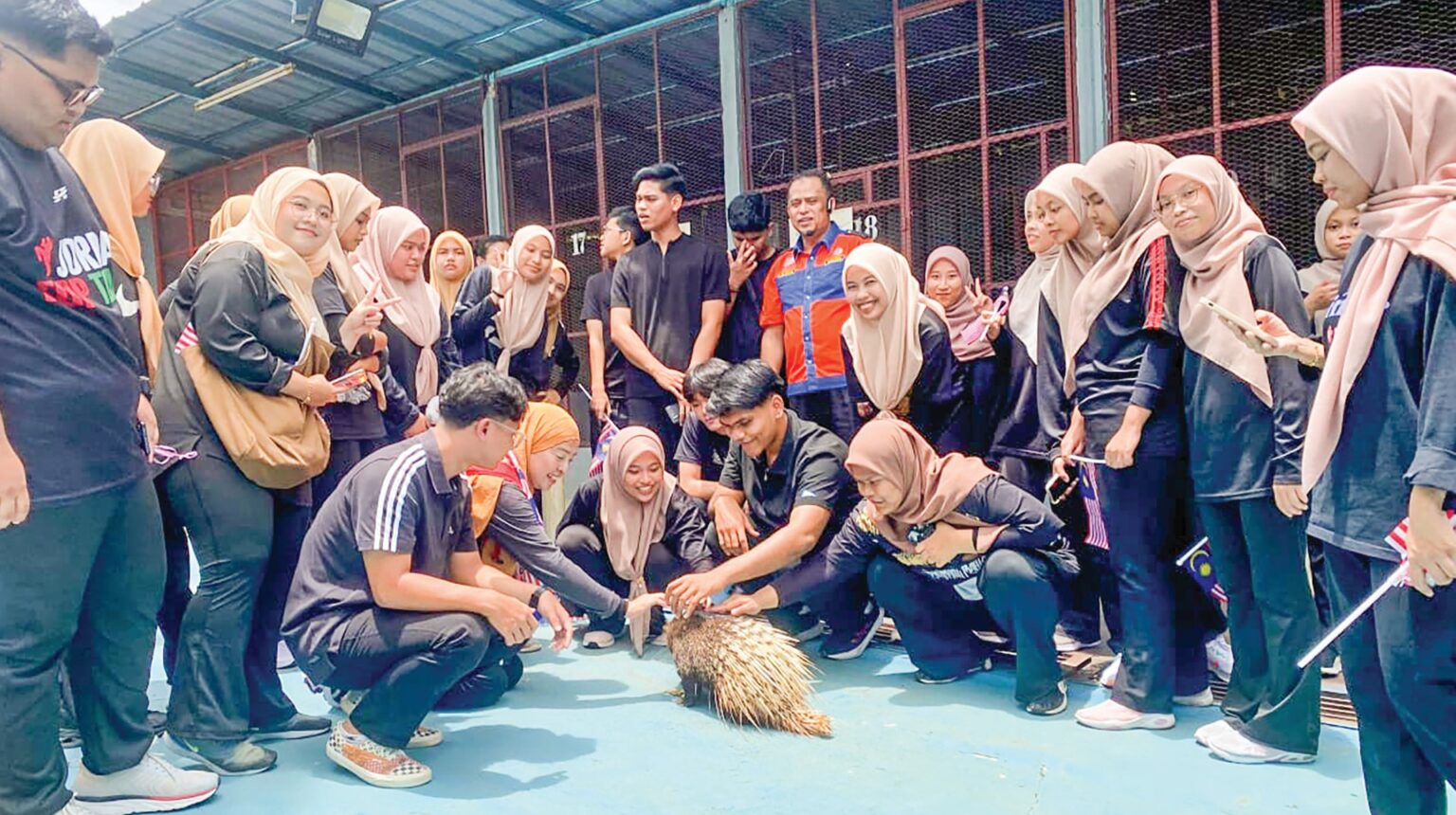 Pelajar santuni Pusat Santuari dan Pembiakan Landak Raya