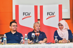 FGV eksport minyak isirung sawit mentah ke Eropah akhir tahun ini