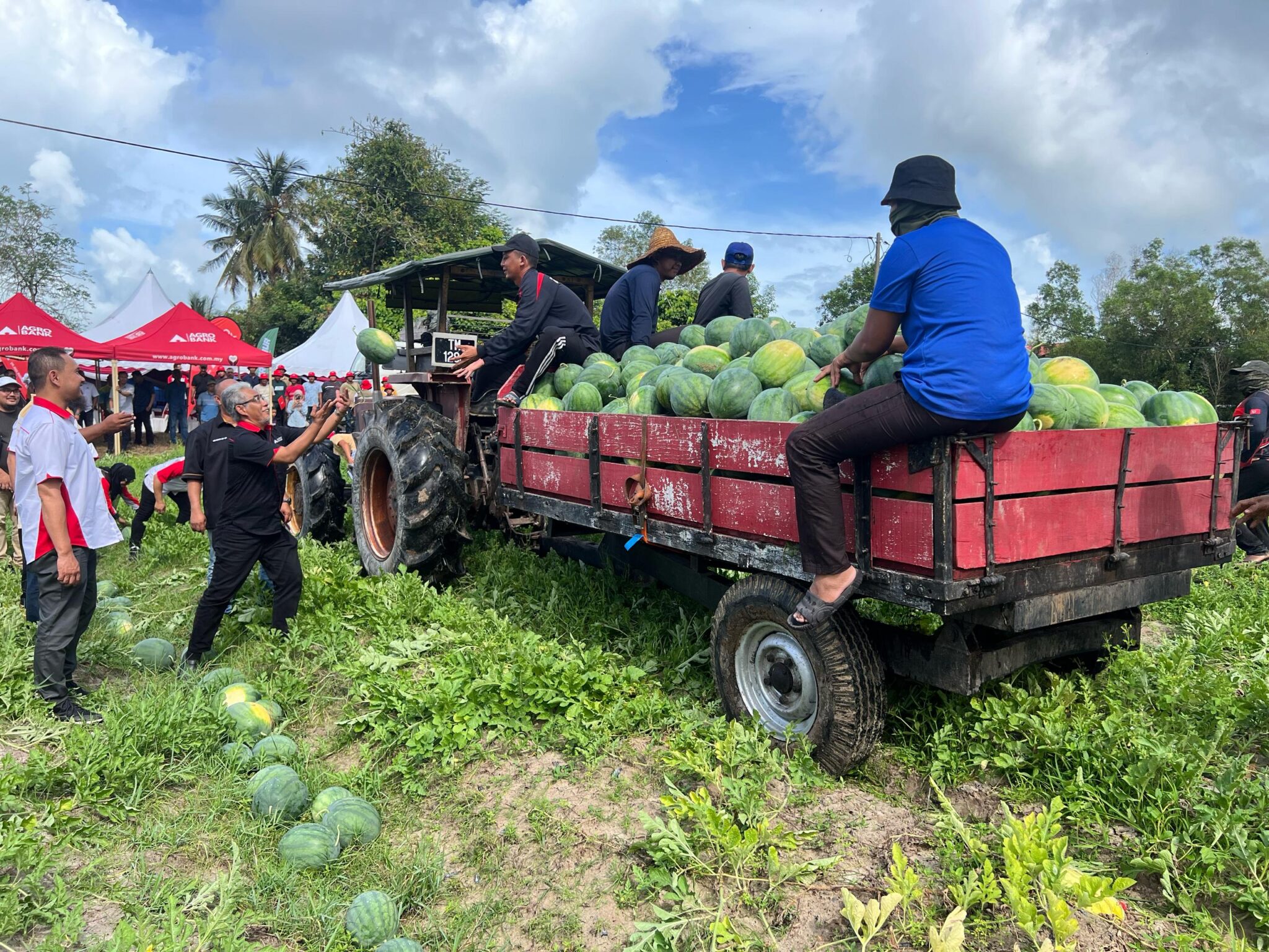 Tembikai bantu 20 asnaf keluar kepompong miskin