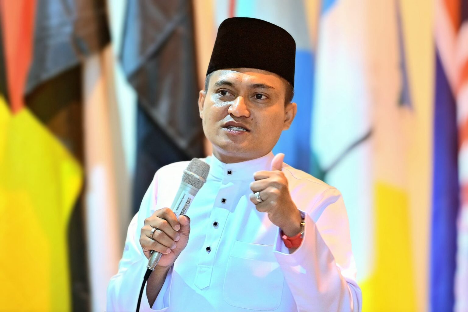 Pemuda UMNO Pahang bawa usul pembebasan Najib ke Perhimpunan Agung UMNO ...