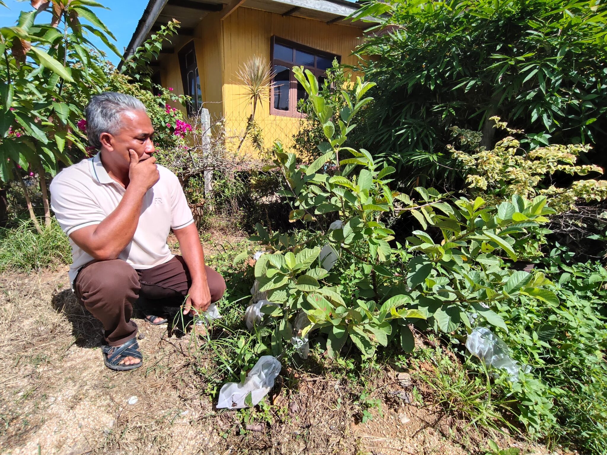 Bapa terkilan gagal tunai permintaan Muhammad Adib makan jambu batu