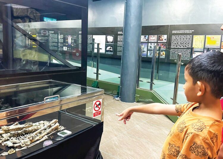 Terkini - Utusan Malaysia