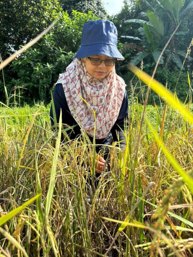 BERNAS Perkasa Masa Depan Beras Negara