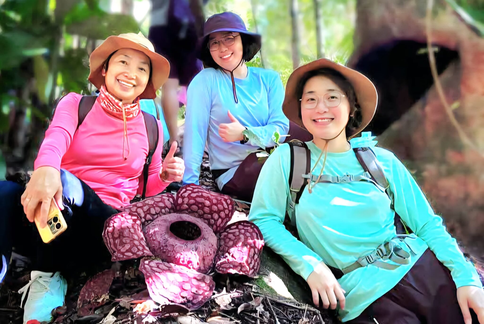 Mengintai pesona rafflesia di hutan Ulu Cheka