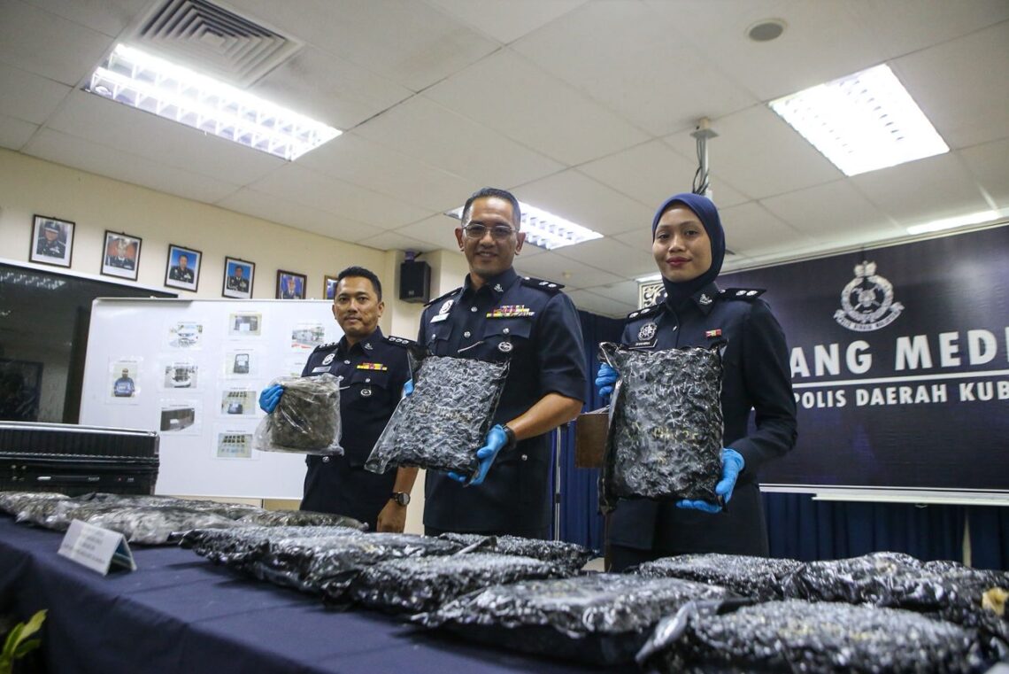 Nekad bawa bunga ganja melalui pintu sempadan Bukit Kayu Hitam