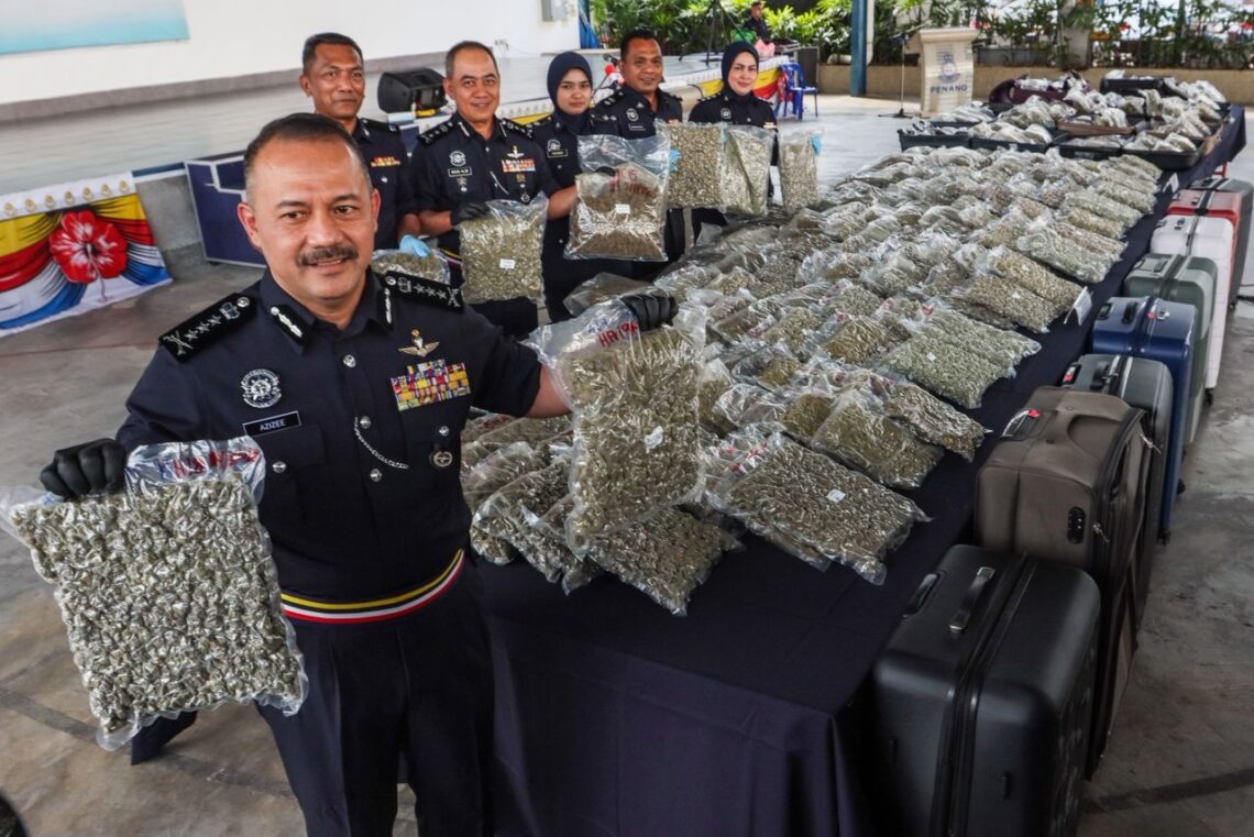 Pulau Pinang: Sindiket edar bunga ganja lebih RM8 juta tumpas