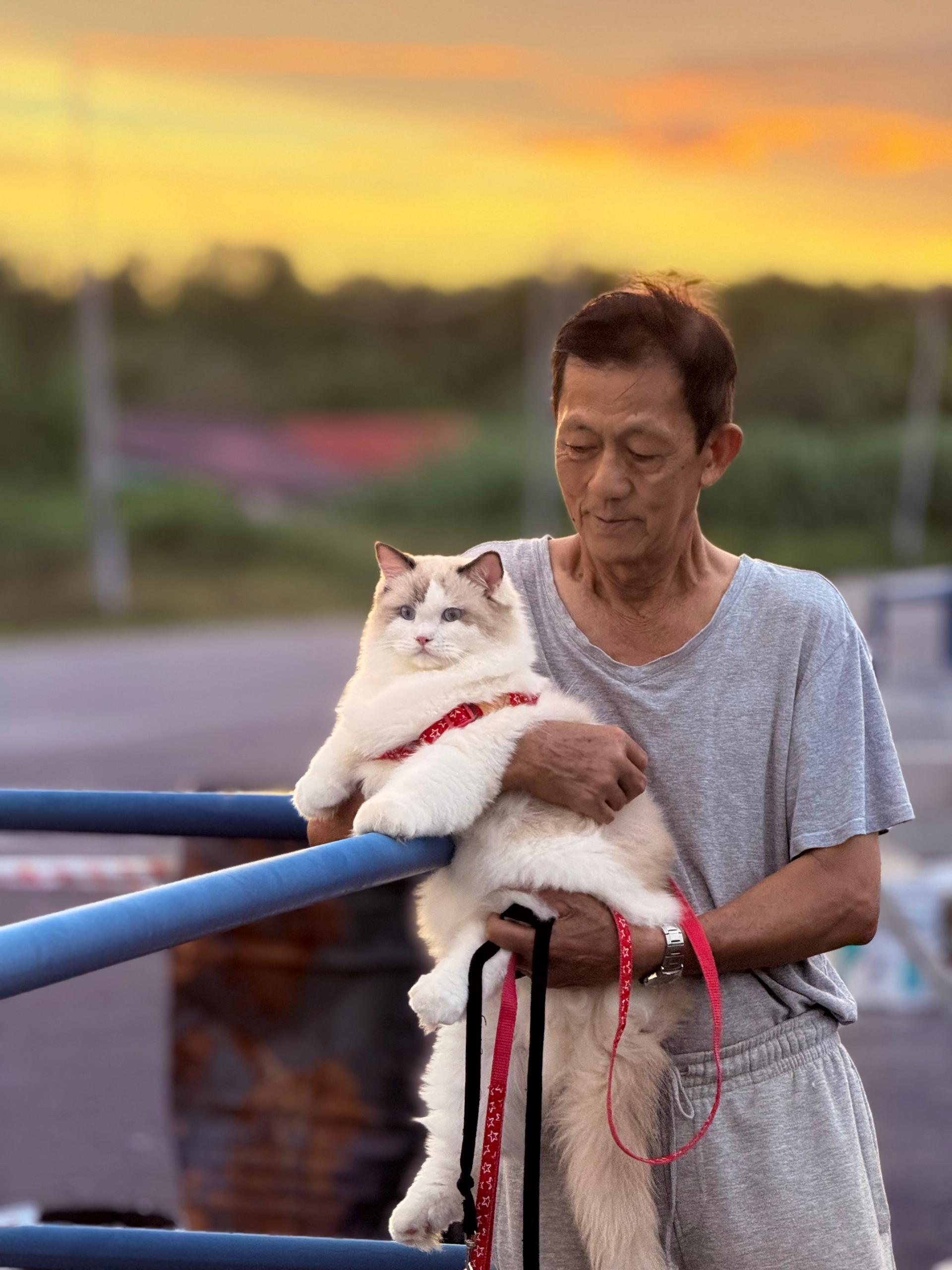 Si Ragdoll yang berjiwa anjing