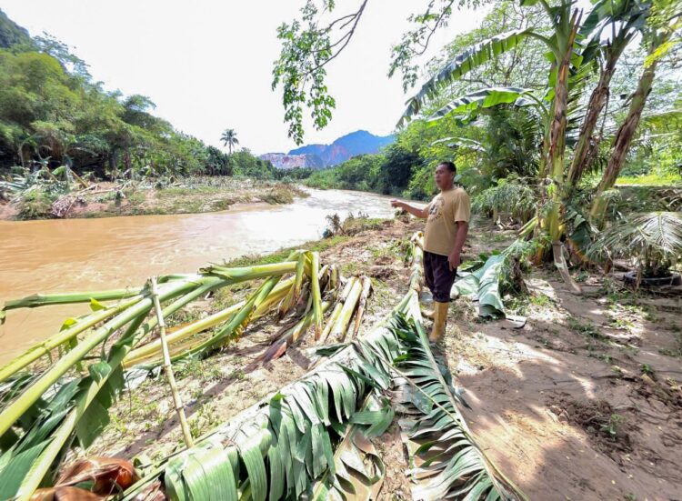 Tambak tebing Sungai Raia elak banjir berulang