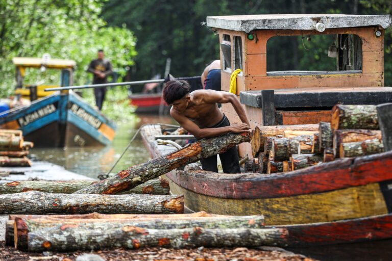 Industri kayu perlu beralih kepada ekonomi kitaran